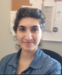 Mehrnaz Fani – VISION AND IMAGE PROCESSING RESEARCH LAB (VIP LAB)