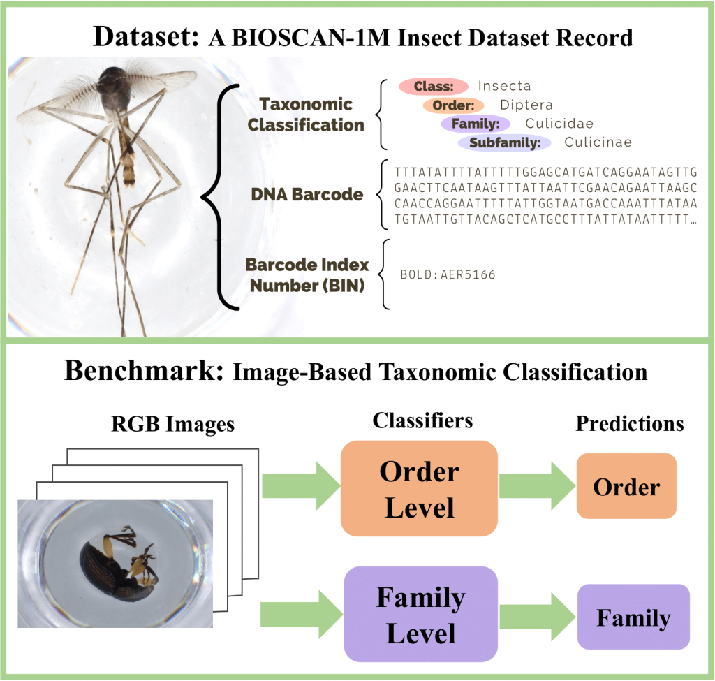 Topics – VISION AND IMAGE PROCESSING RESEARCH LAB (VIP LAB)