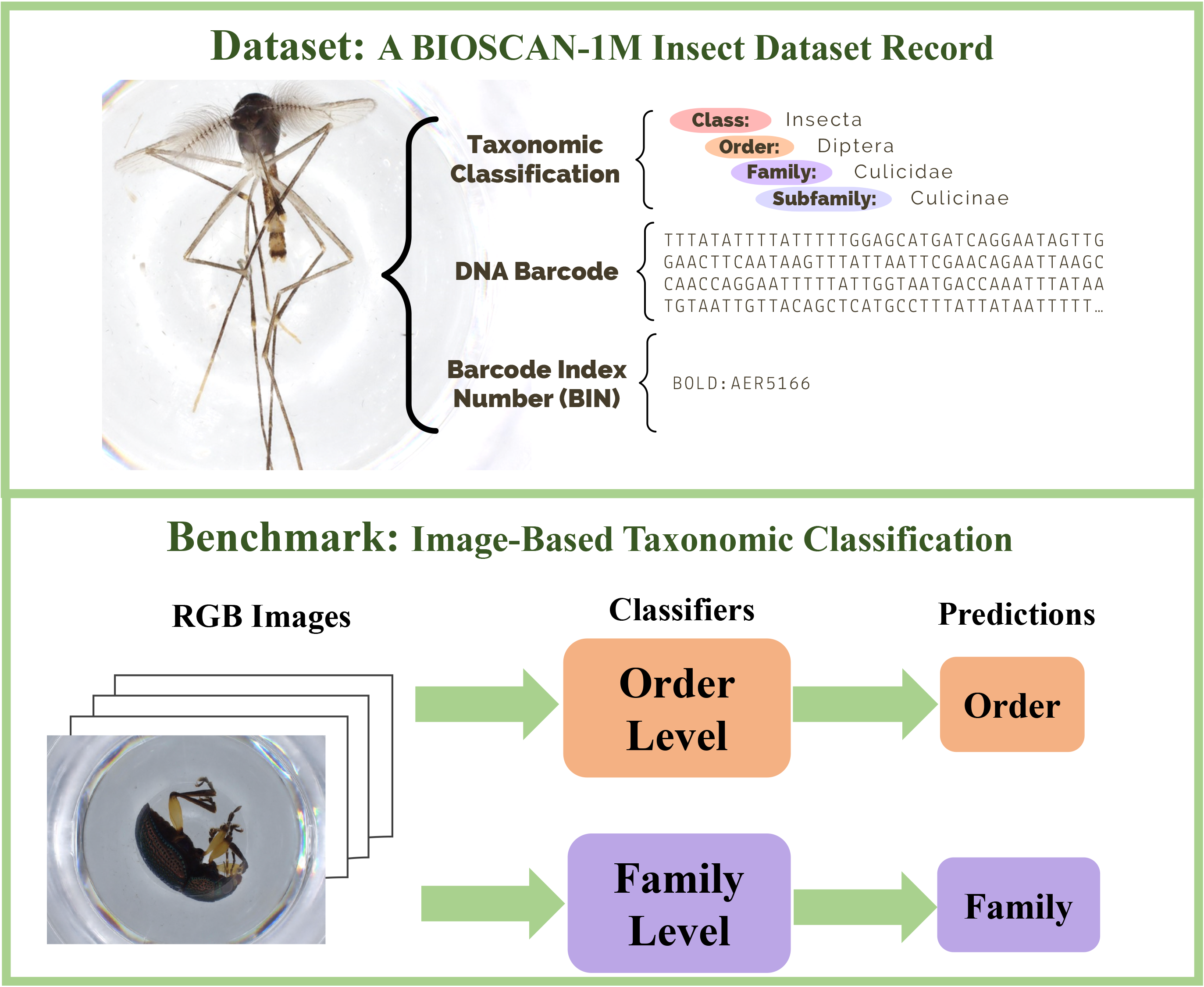 Topics – VISION AND IMAGE PROCESSING RESEARCH LAB (VIP LAB)